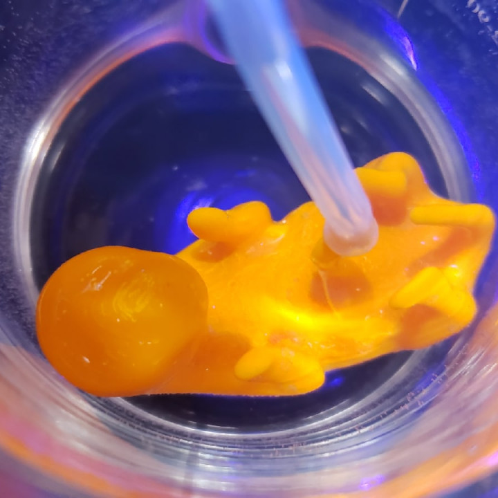 3D Printable Cute Lil Embryo by Frederico David Sena