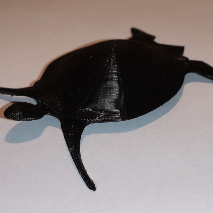 3D Printable Sea Thurtle by Kund Horvath