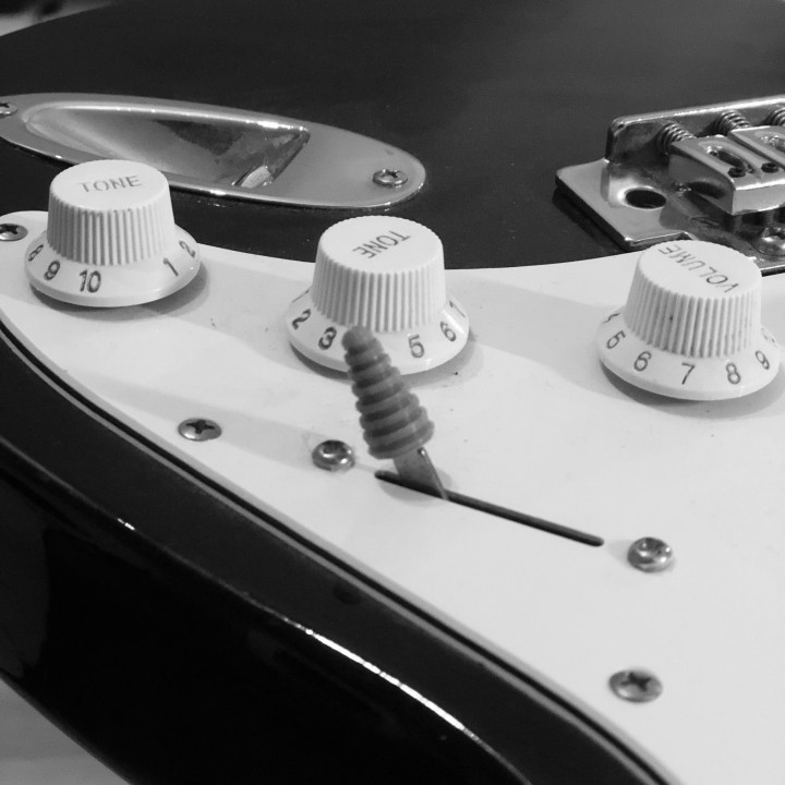 3D Printable Stratocaster Custom switch by Marco Sauter