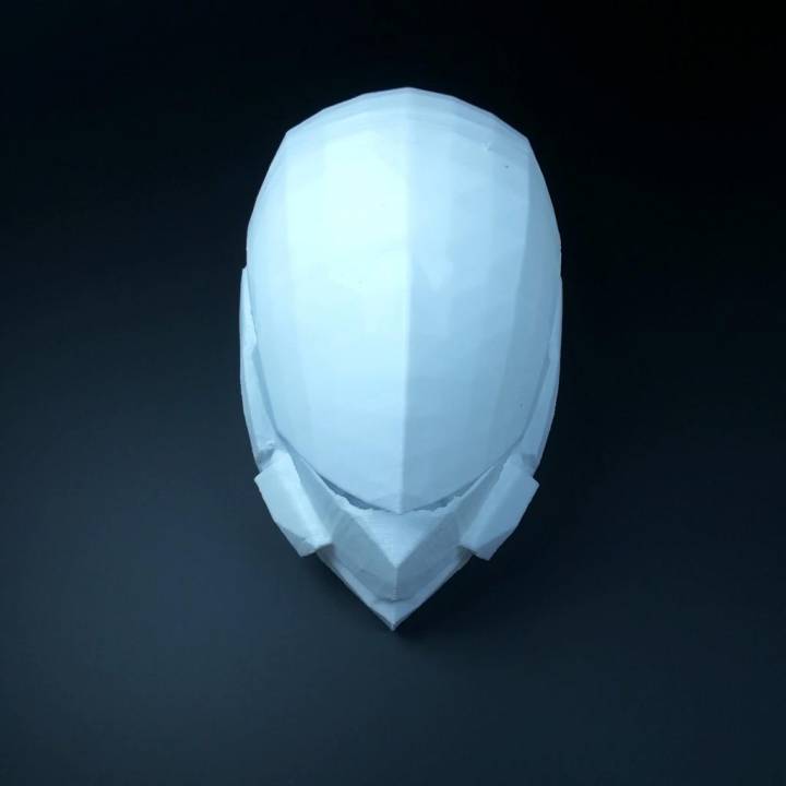 3D Printable Destiny Swordflight Helmet by Hunter Locke