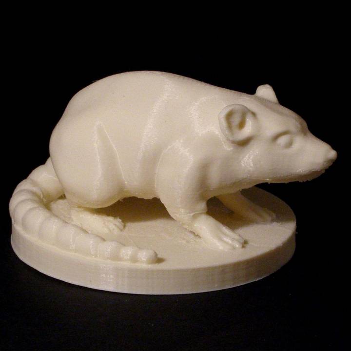 3D Printable Rat by schlossbauer