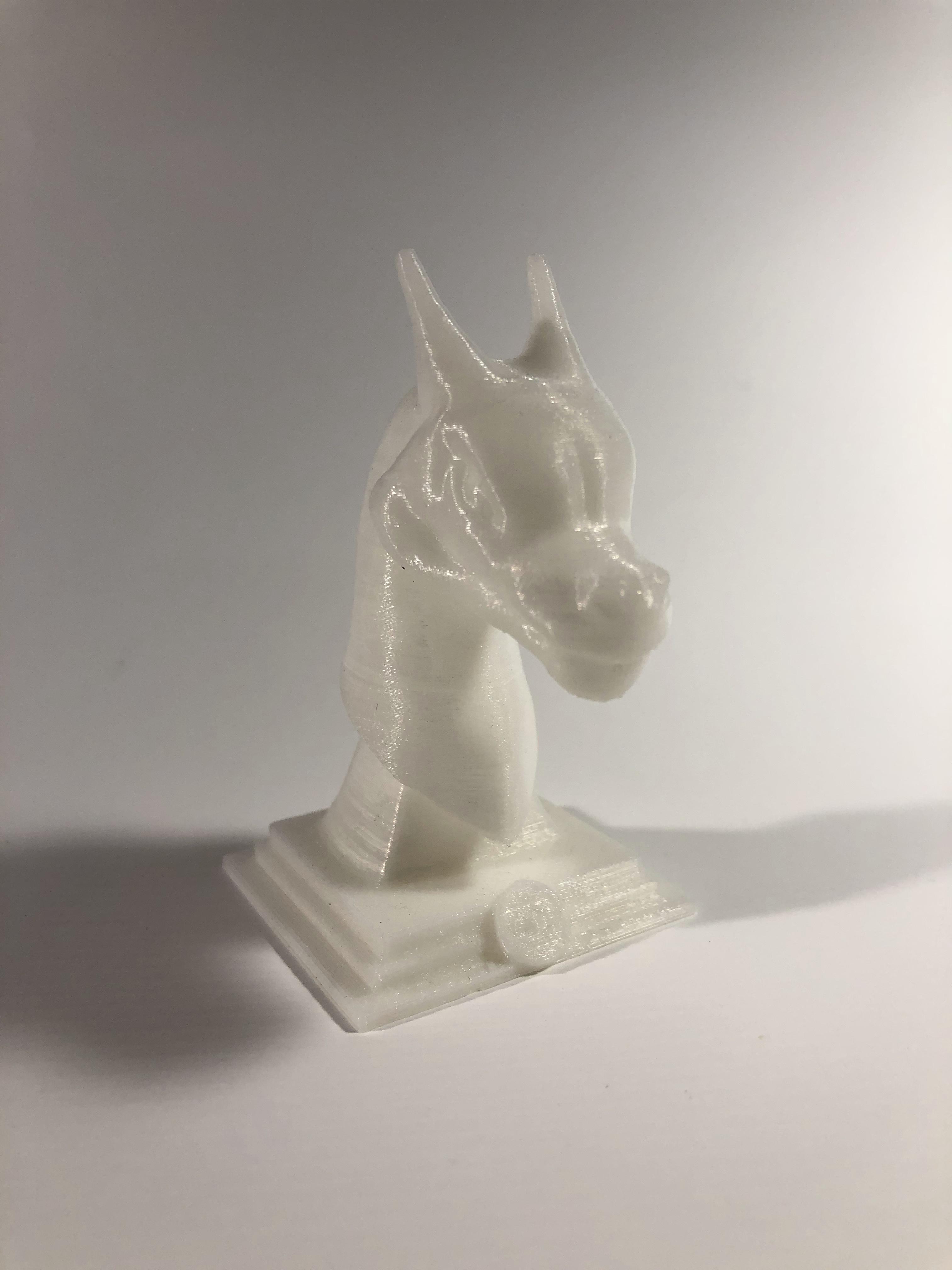3D Printable Charizard Trophy by Carlos Villarreal