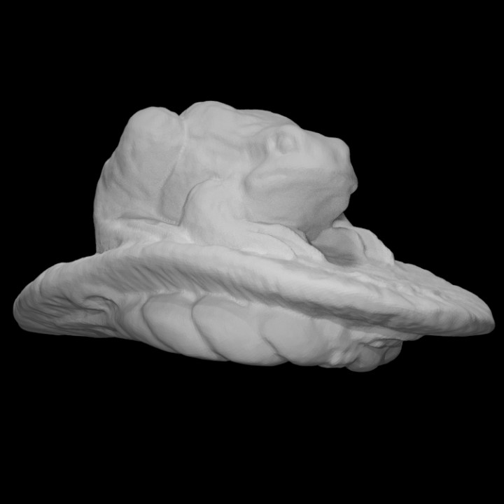 3D Printable Toad sitting on a straw sandal by Minneapolis Institute of Art