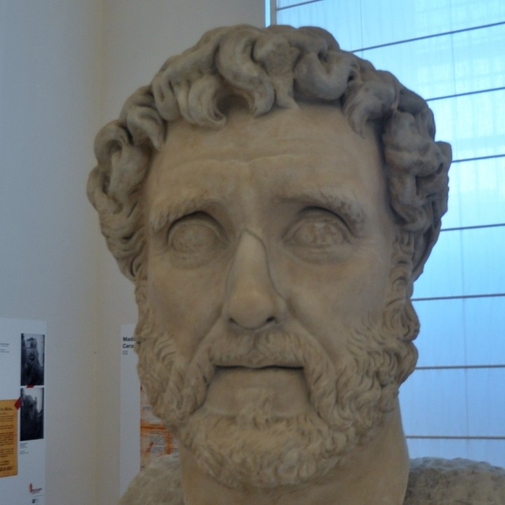 3D Printable Antoninus Pius by Scan The World