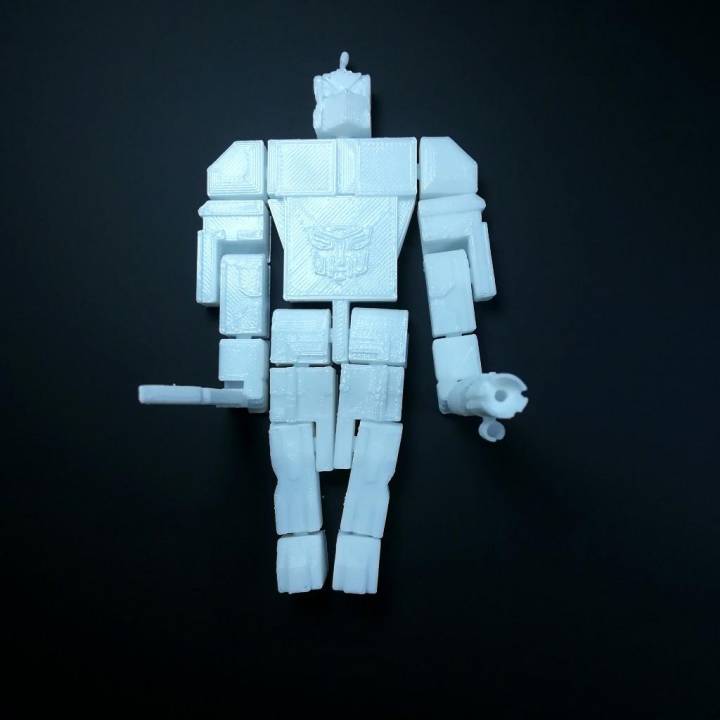 3D Printable Robot by Rayyan Amir