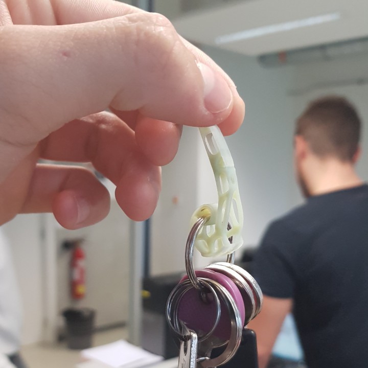 3D Printable Bottle opener keychain - topological optimization for LBM ...