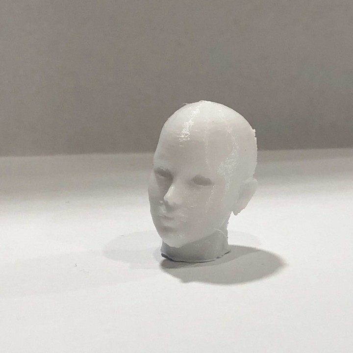 3D Printable Realistic LEGO head by Griffin Haydon