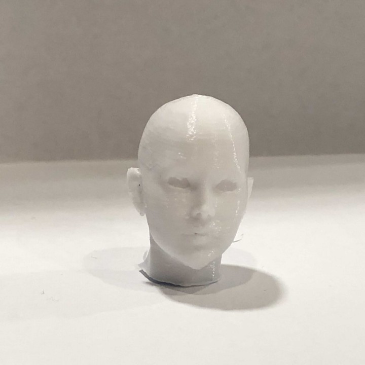 3D Printable Realistic LEGO head by Griffin Haydon