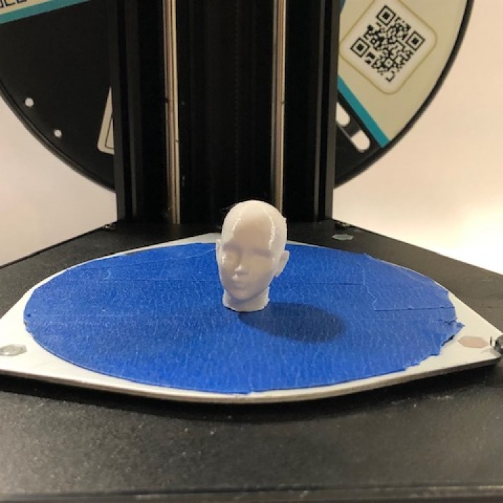 3D Printable Realistic LEGO head by Griffin Haydon