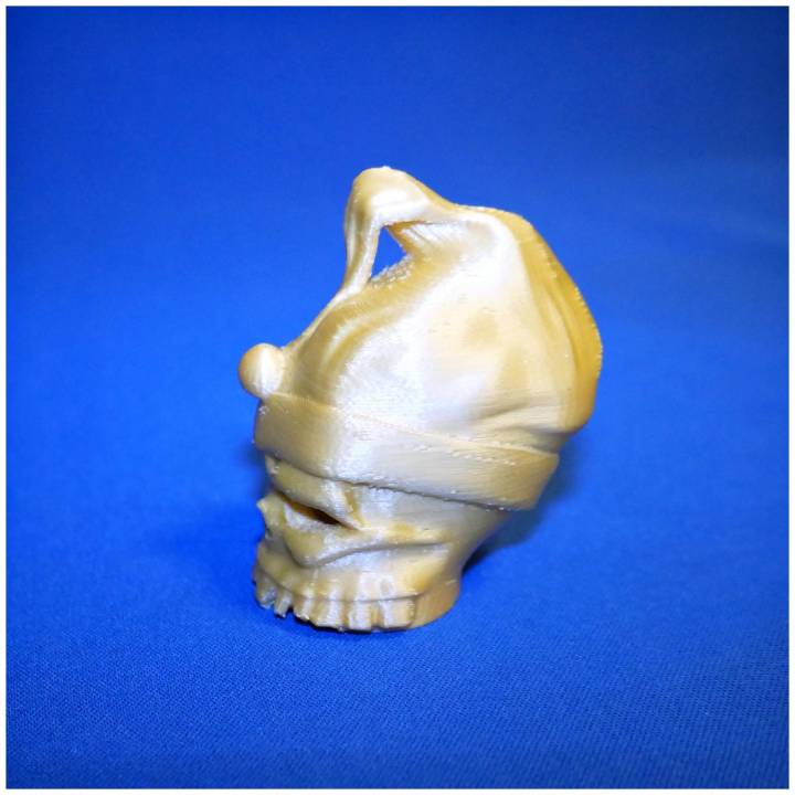 3D Printable Santa skull by Hovertin Dany