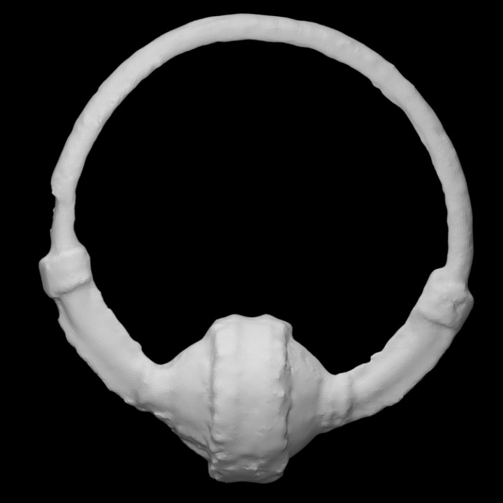 3D Printable Temporal ring by LIRA "Artefact" of Tomsk State University