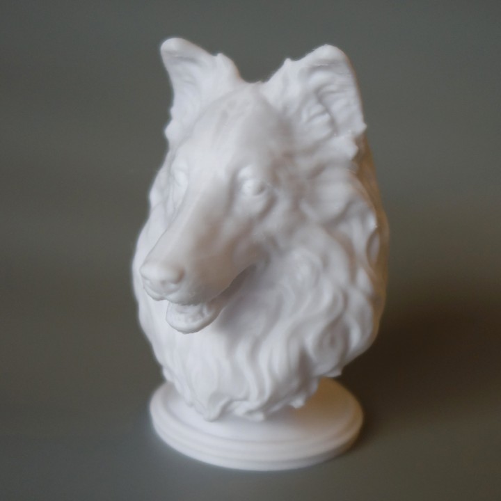 3D Printable Sheltie Statue by Kam Yu