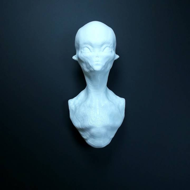 3D Printable Alien by cristian ortega