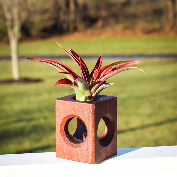 3D Printable Air Plant Holder by Mark Ingle