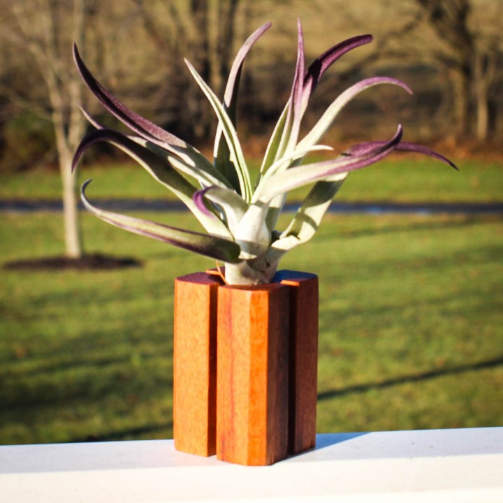 3D Printable Air Plant Holder by Mark Ingle