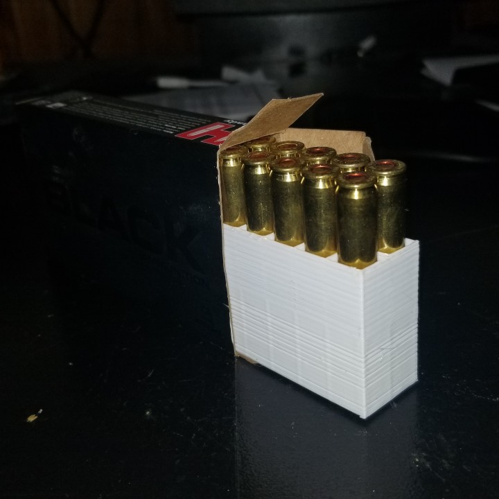 3D Printable 20-Round 5.56 Ammunition Case by Guppy Phish