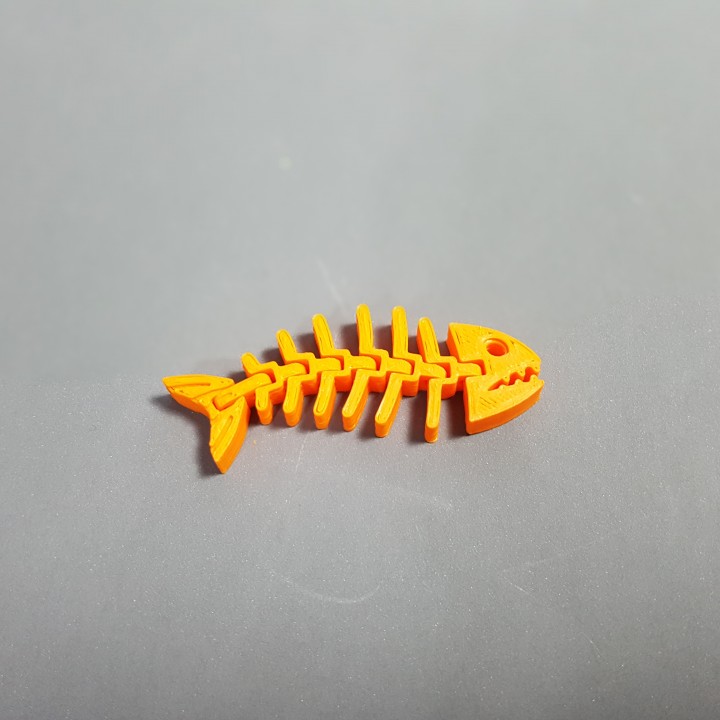 3D Printable Fish Flexi by PrintStuff_3D