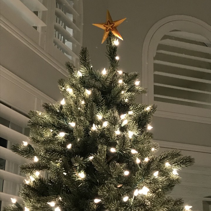 3D Printable Christmas Tree Star Topper by Russell Widder