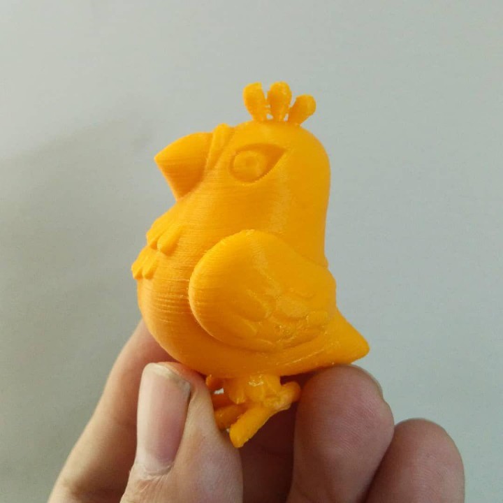 3D Printable funny bird by Saman Hashemi