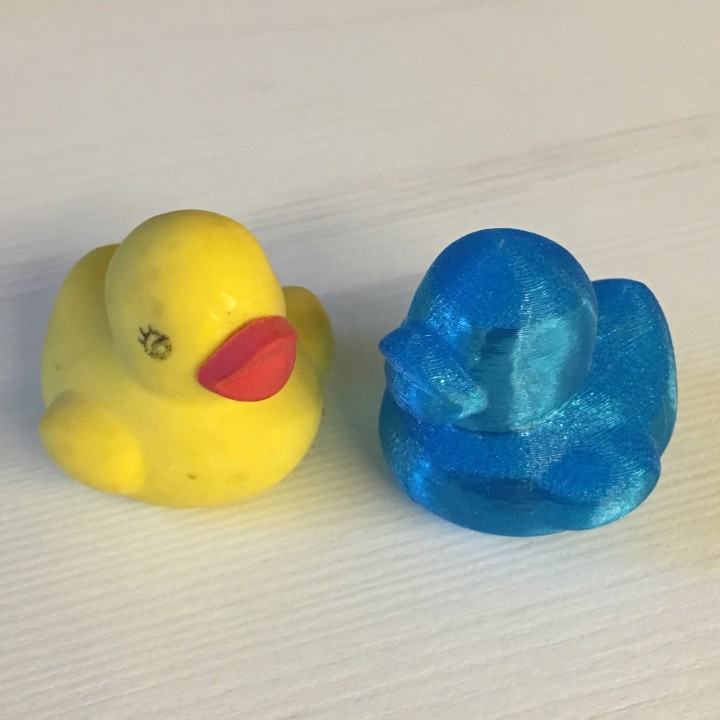 3D Printable Ente Scan by Frank Rother