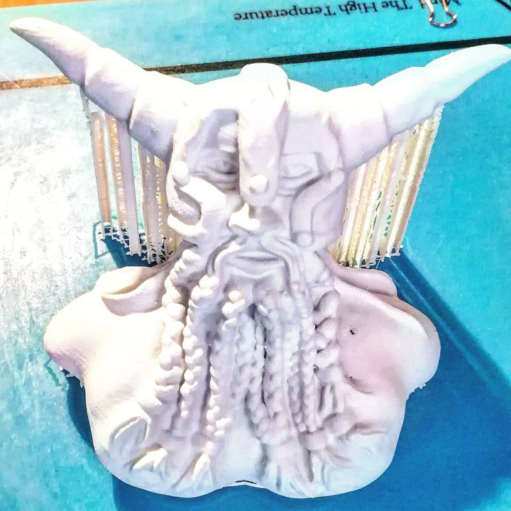 3D Printable Ragnar "octopus beard " by Grégory