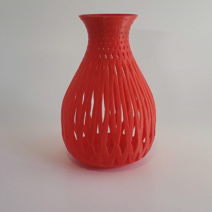 3D Printable Twirl Rib by Jordon