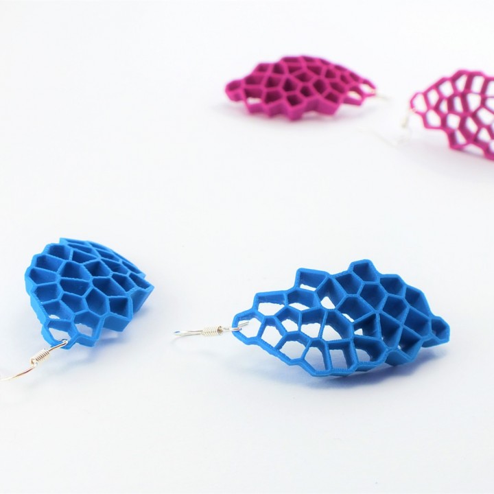 3D Printable Voronoid earrings by Vít Rychlý