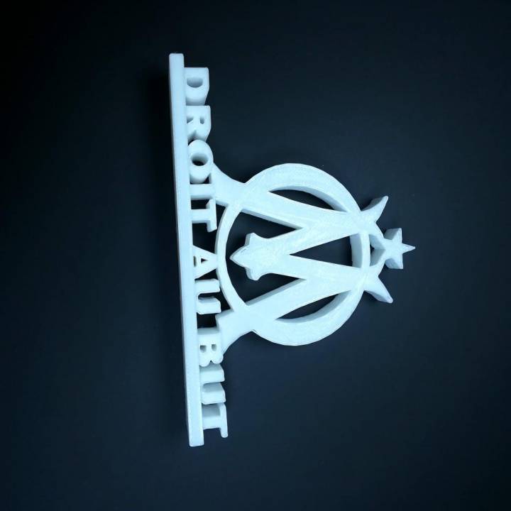 3D Printable Olympique_de_Marseille by bob mrio