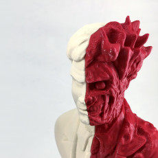 3D Printable Two-Face bust by Wekster