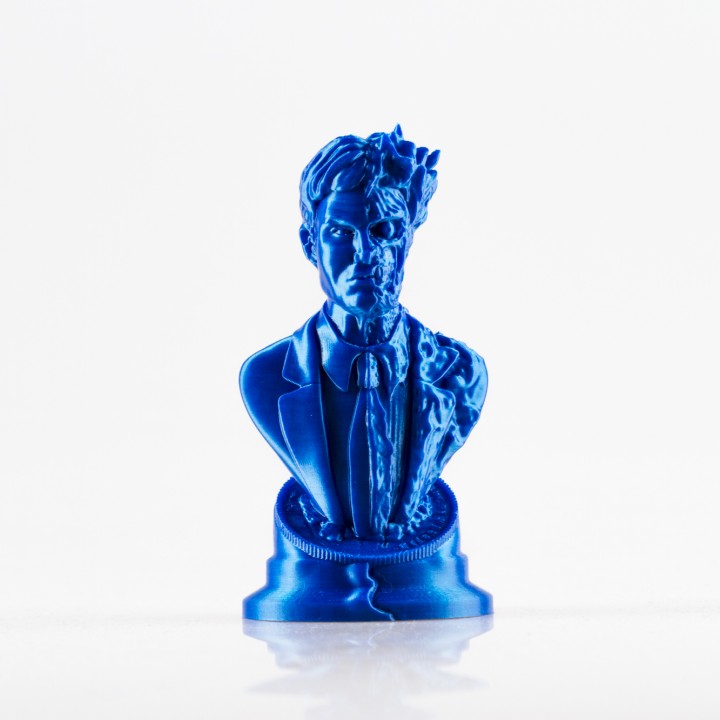 3D Printable Two-Face bust by Wekster