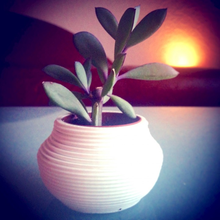 3D Printable Planter by Bob Timroff