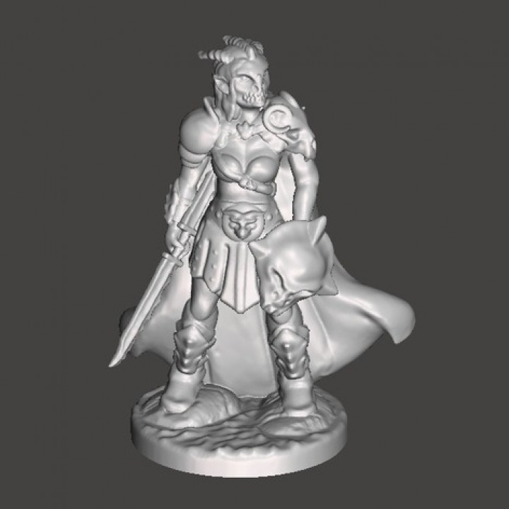 3D Printable Gloomhaven Monster - Inox Guard by Jon Robelia, Robagon3D