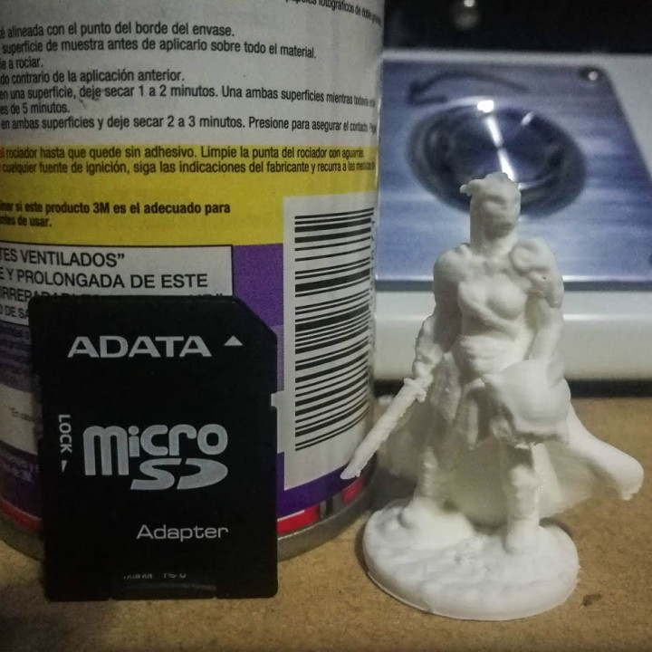3D Print of Gloomhaven Monster - Inox Guard by rapbena
