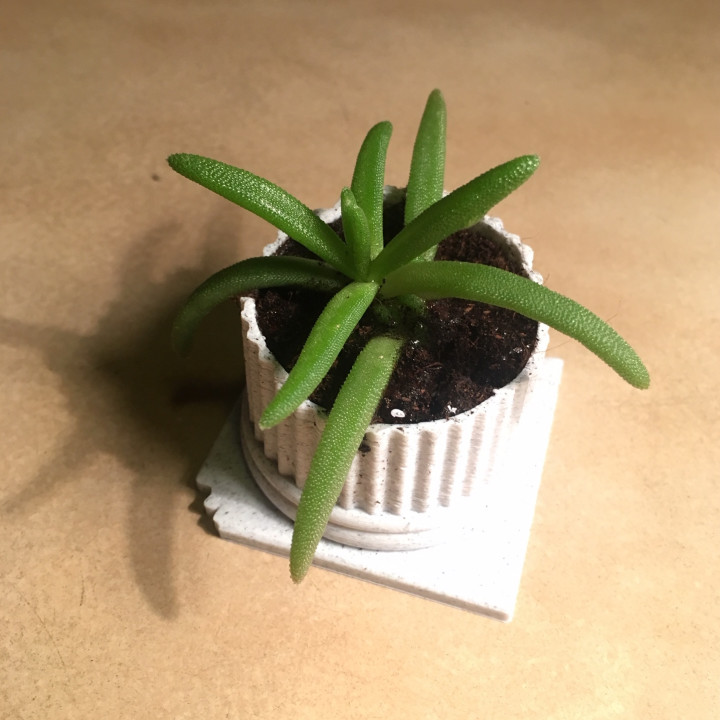 3D Printable Roman Column Vase, Pot by AlePre