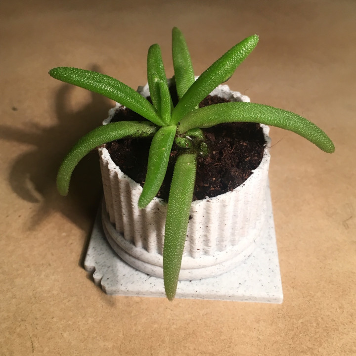 3D Printable Roman Column Vase, Pot by AlePre