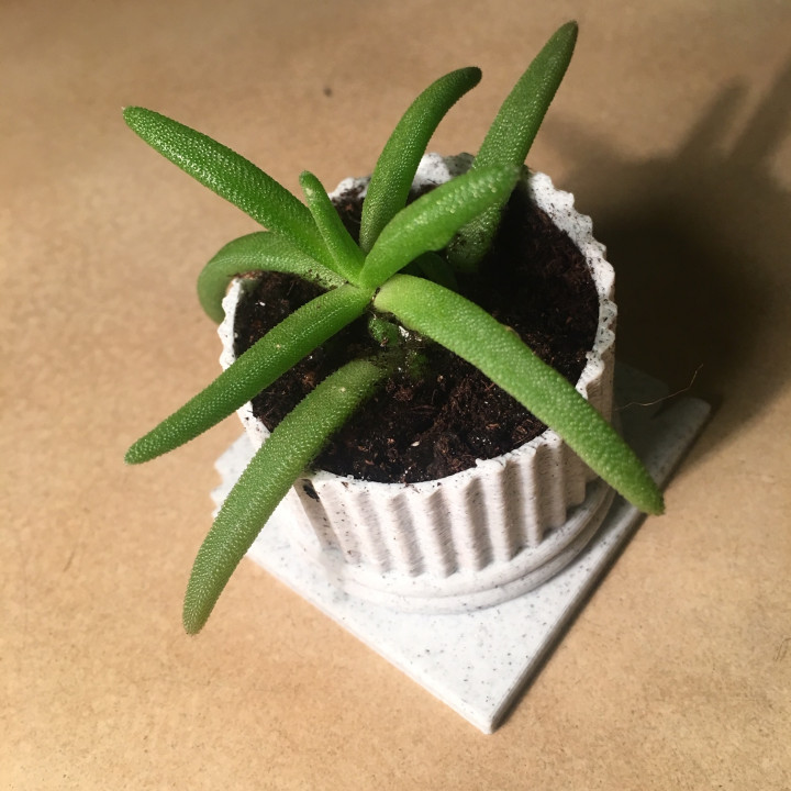 3D Printable Roman Column Vase, Pot by AlePre