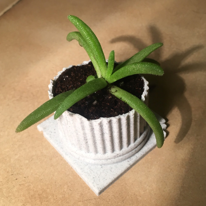 3D Printable Roman Column Vase, Pot by AlePre