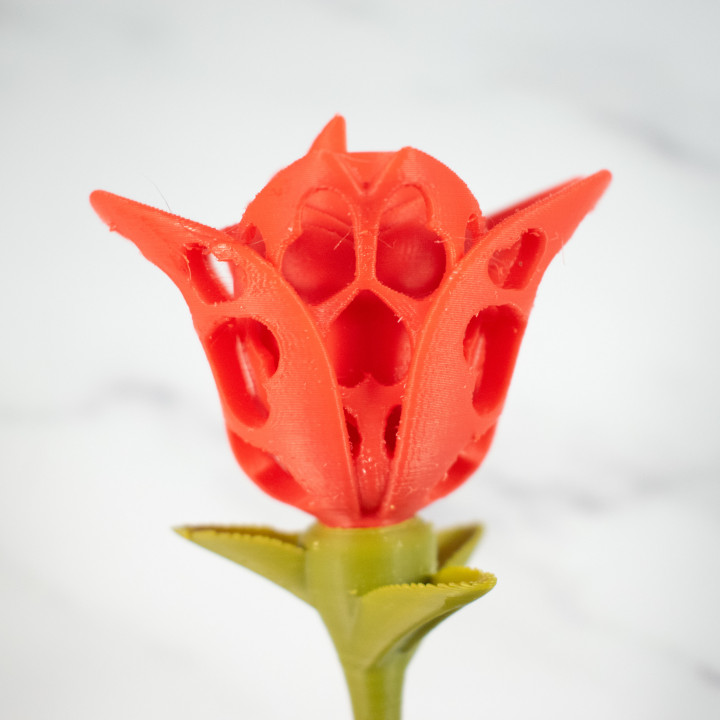 3D Printable Pattern Heart Box & Rose Bundle by Tanya Wiesner