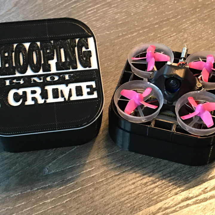 3D Printable Tiny Whoop Case: "Whooping Is Not A Crime by Christopher Adair