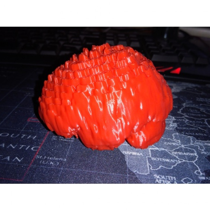 3D Printable A Brain *REAL* by Lange23