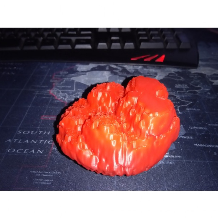 3D Printable A Brain *REAL* by Lange23