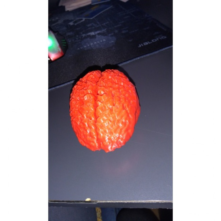 3D Printable A Brain *REAL* by Lange23