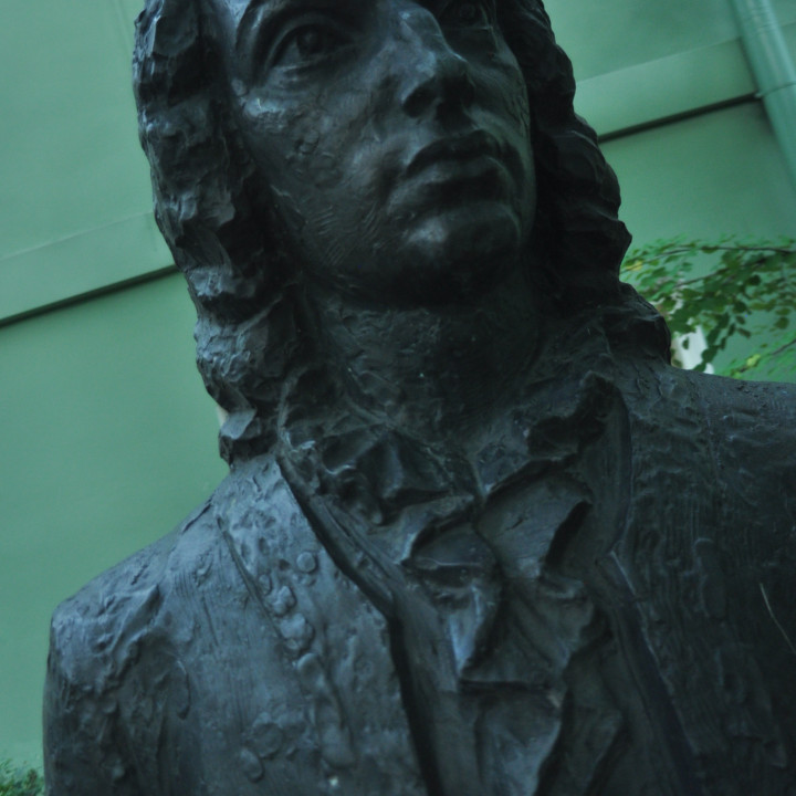 3D Printable Bust of unknown man by Scan The World