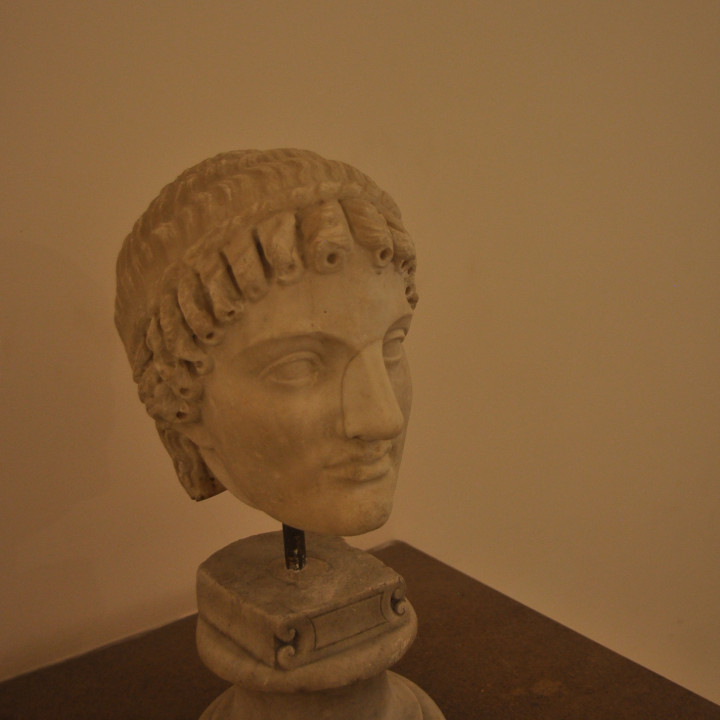 3D Printable Head of Ephebe by Scan The World