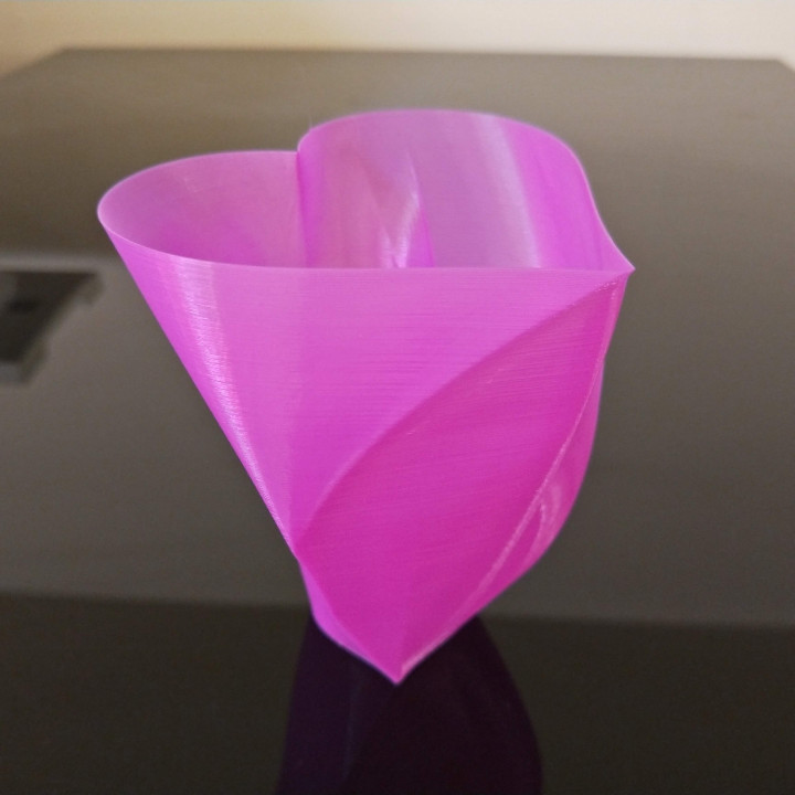 3D Printable Valentines Heart Vase by Leo Cadle