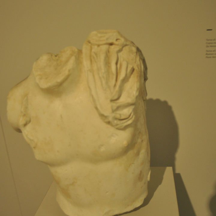 3D Printable Torso of a young man by Scan The World