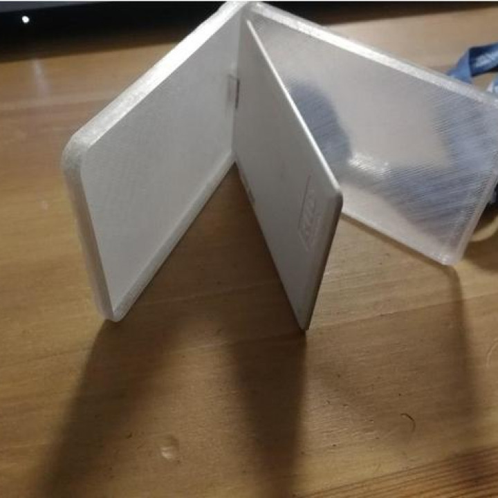 3D Printable Bage-pass by Max Bolotov