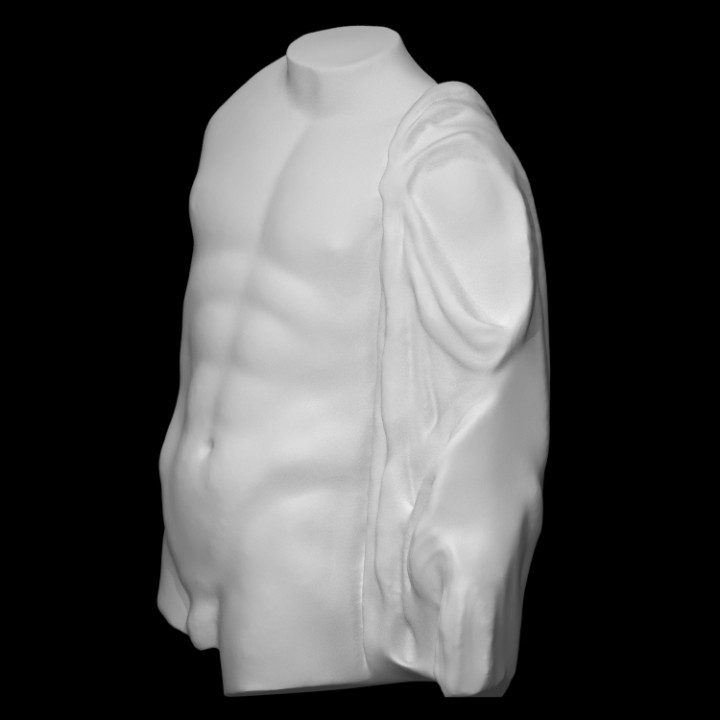 3D Printable Torso of a young man by Scan The World