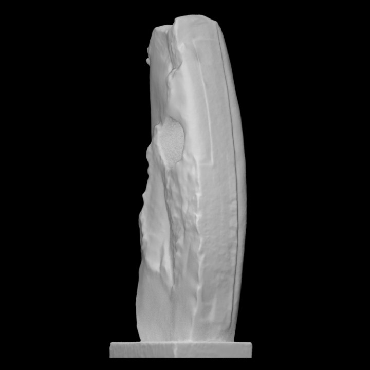 3D Printable Abstract statue by Scan The World