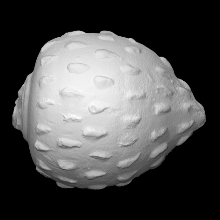 3D Printable Sphero-conical Vessel by Harvard Museum of the Ancient ...